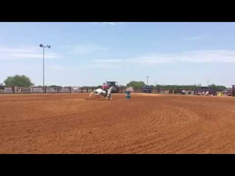 Snapper Winning Firecracker 1D buckle - YouTube