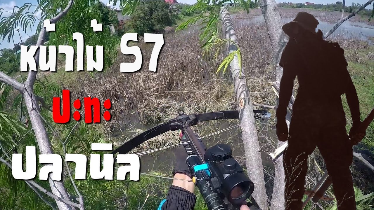 ยิงปลานิล ด้วยหน้าไม้ฝรั่ง "SHOOTINGFISH By "CROSSBOW ROYAL S7 ...