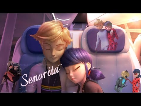 Senoritã✨️ | Adrienette | Ladynoir ❤️| Marichat | Song | MIRACULOUS AMV😍