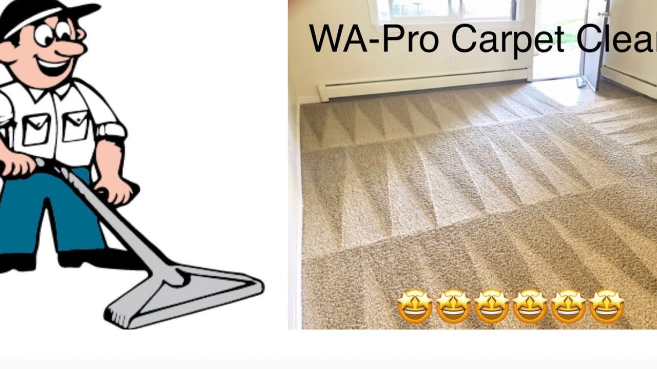 Carpet Guy Vlog! Pre-Vacuum + - YouTube