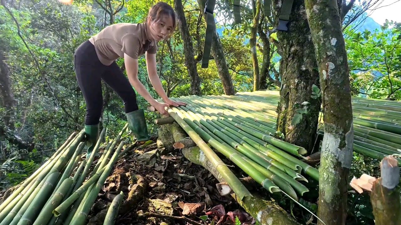 Survival Solo Shelter in the Jungle | Catching River Crabs & Building a ...