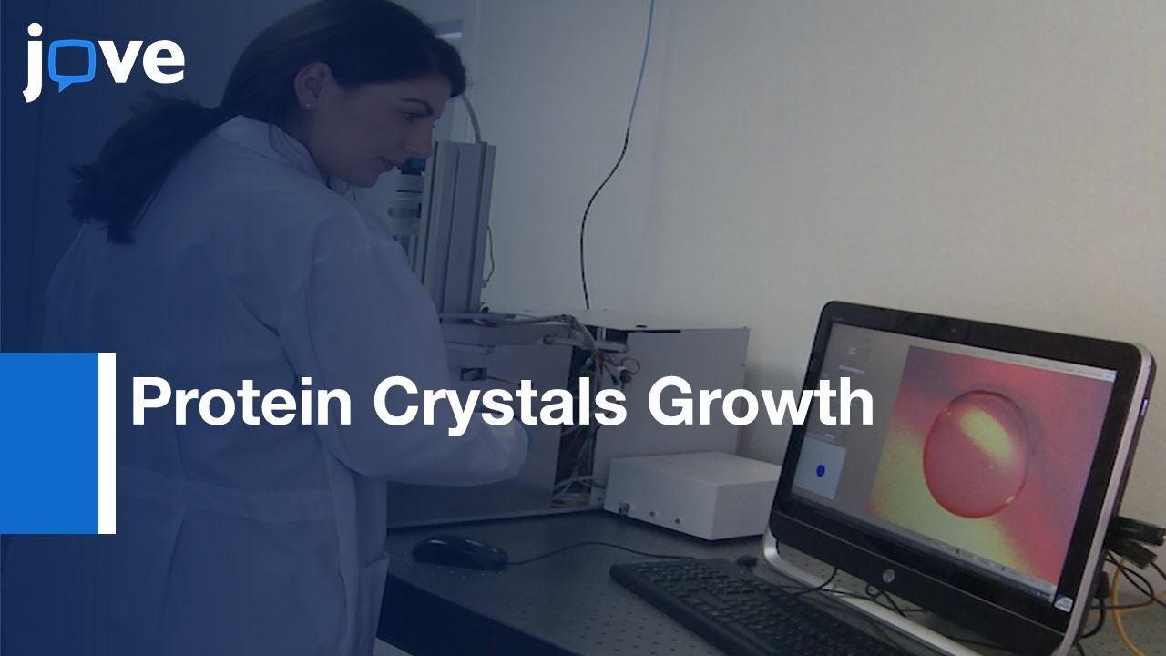 Protein Crystals Growth by Automated Crystallization with DLS ...