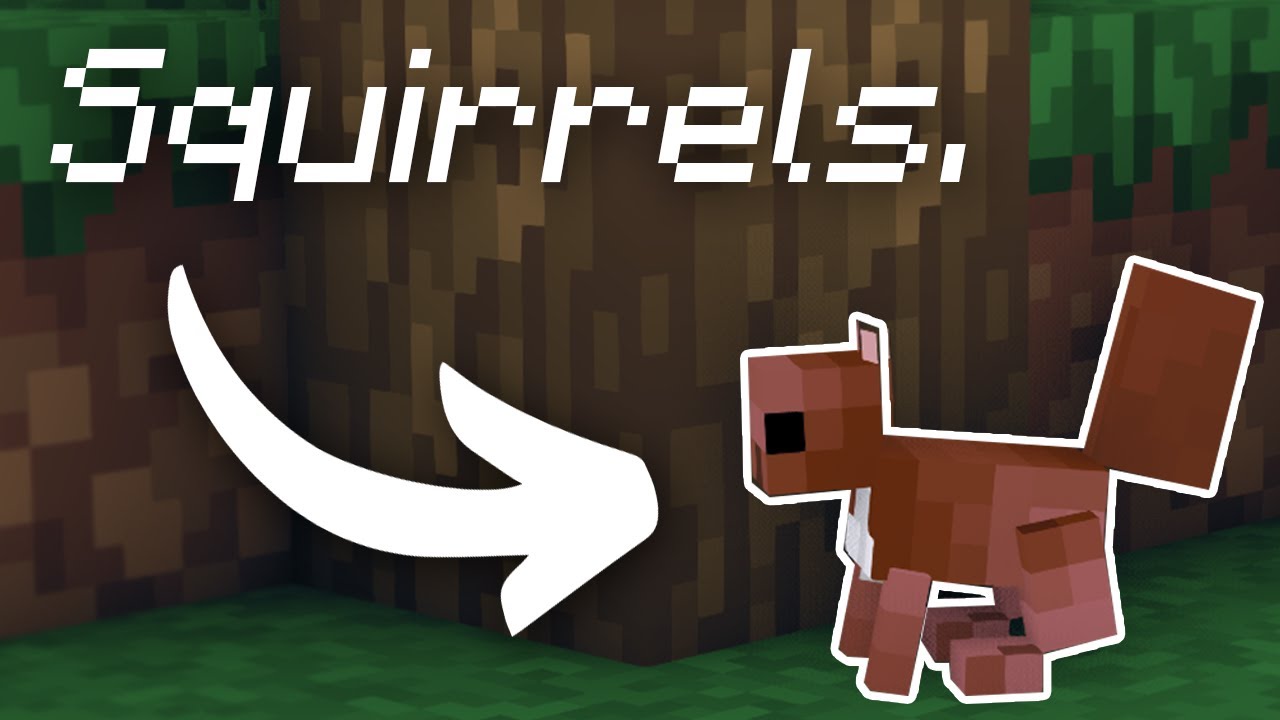 Mod Squirrels into Minecraft. Now. - YouTube