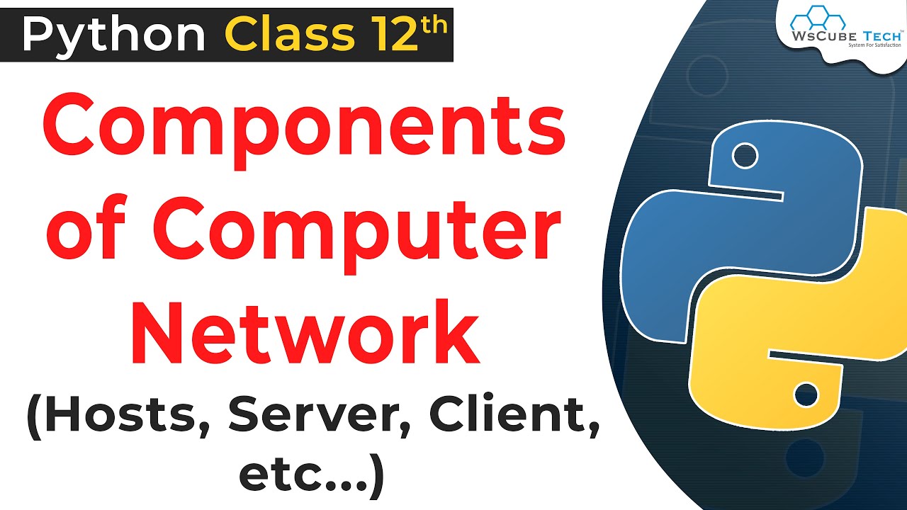 Components Of A Computer Network In Class 12 Chapter 10 Components Of Components Of A Computer Network In Class 12 Chapter 10 Components Of
