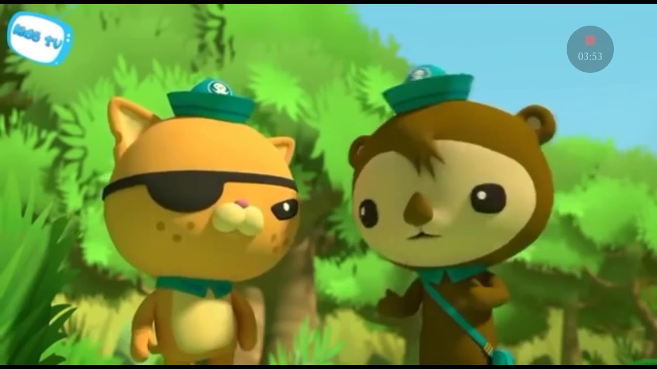 Octnoats and the poison dart frogs - YouTube