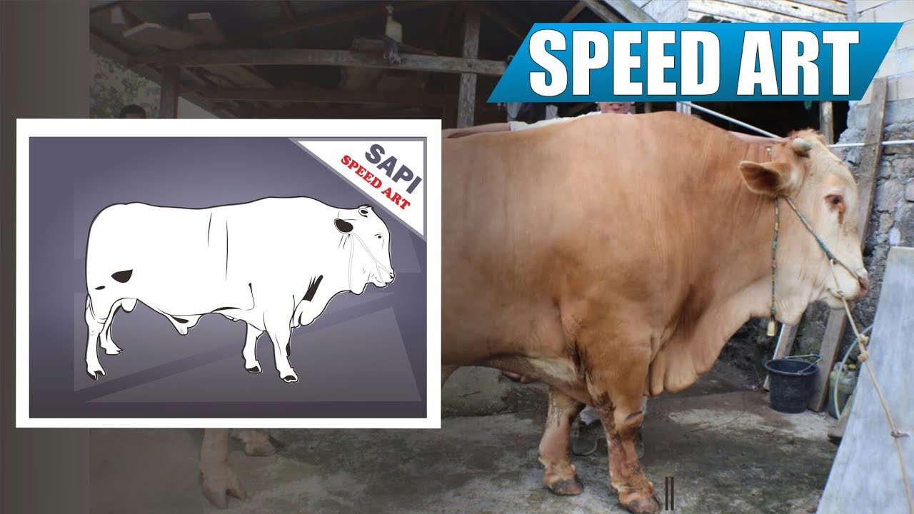 SPEED ART || LINE ART SAPI DICOREL DRAWX7 - YouTube