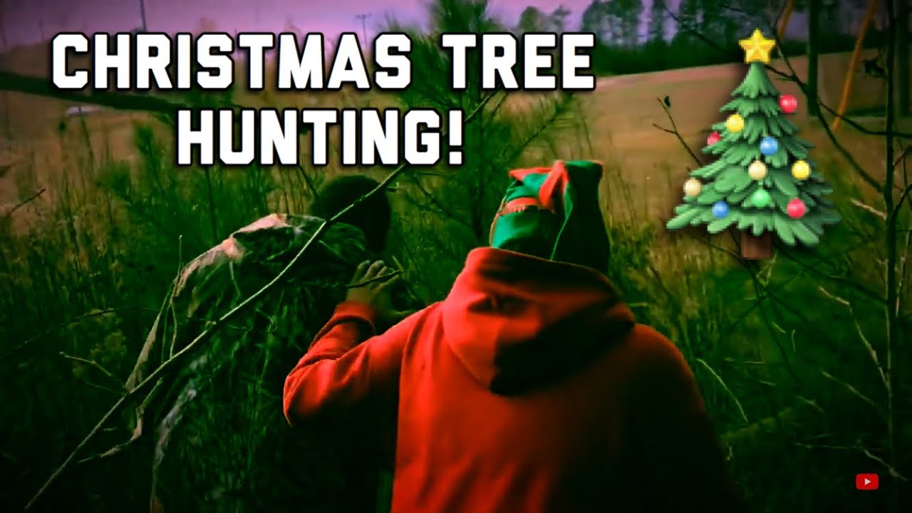Vlogmas Christmas Tree Hunting Youtube