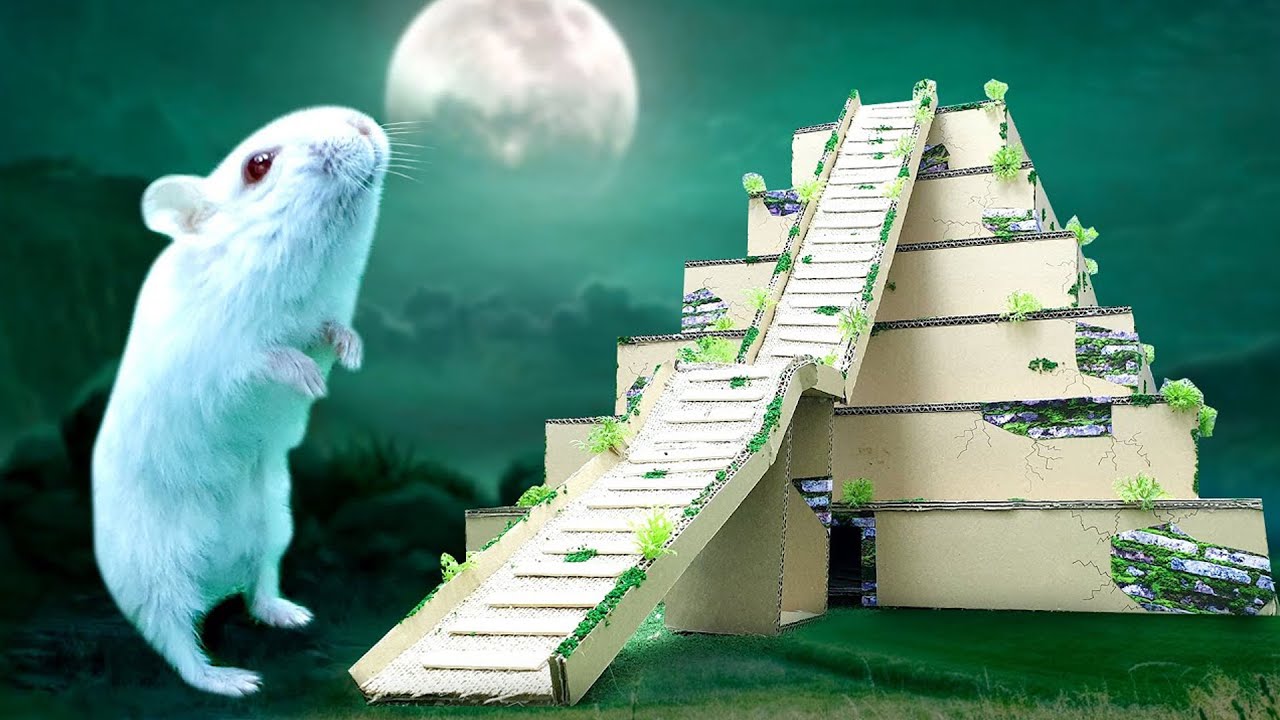 Hamster Finding Treasure in Blue Diamond Temple Maze !! Hamster ...