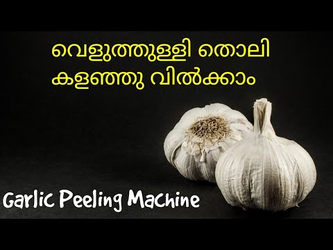 ചെറിയ മുതൽ മുടക്കിൽ തുടങ്ങാൻ സാധിക്കുന്ന ഒരു സ്വയംതൊഴിൽ അവസരം // SWAYAM ...