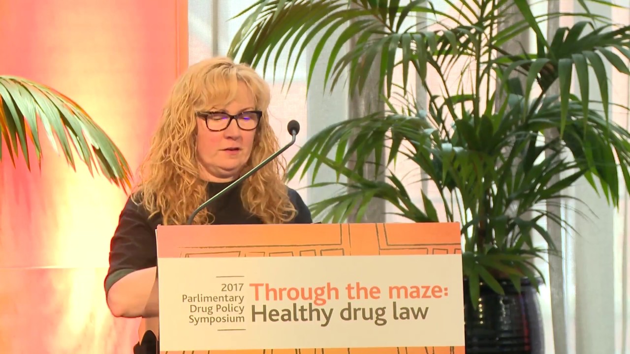 2017 Parliamentary Symposium Fiona Measham full presentation - YouTube