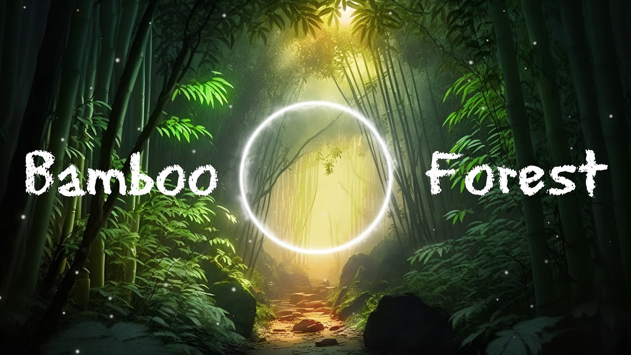 Bamboo Forest | Music for Meditation | 1 Hour - YouTube