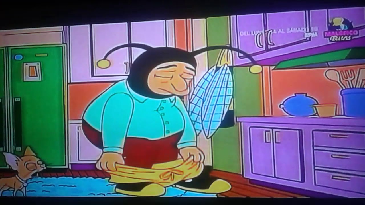 Los Simpson El Señor Abeja tene mala suerte - YouTube
