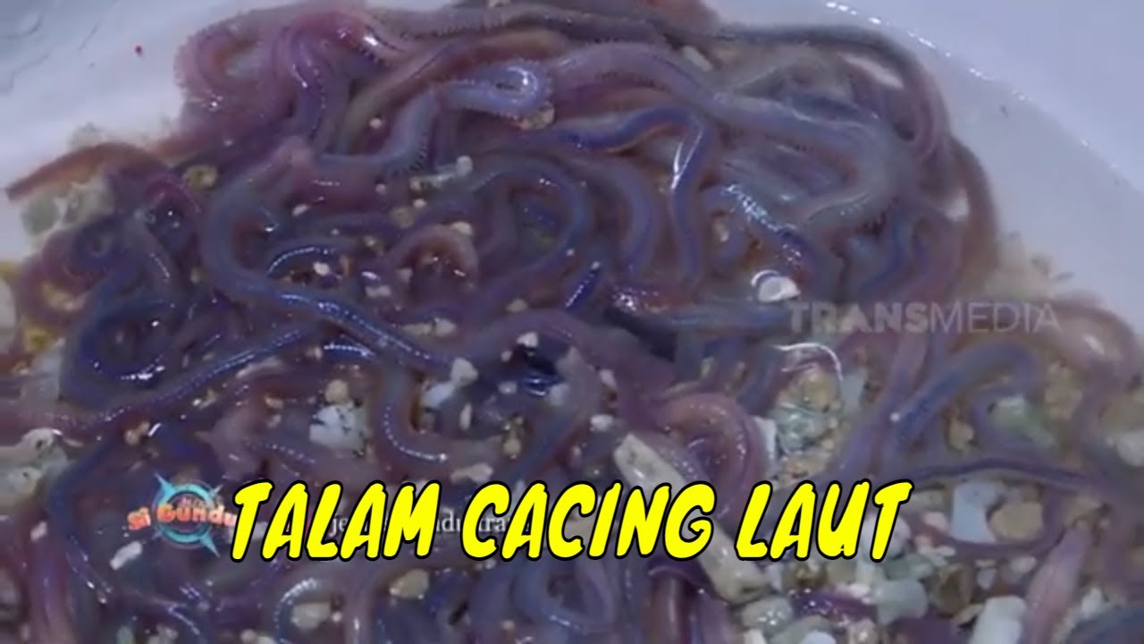 TALAM CACING LAUT | JEJAK SI GUNDUL - YouTube