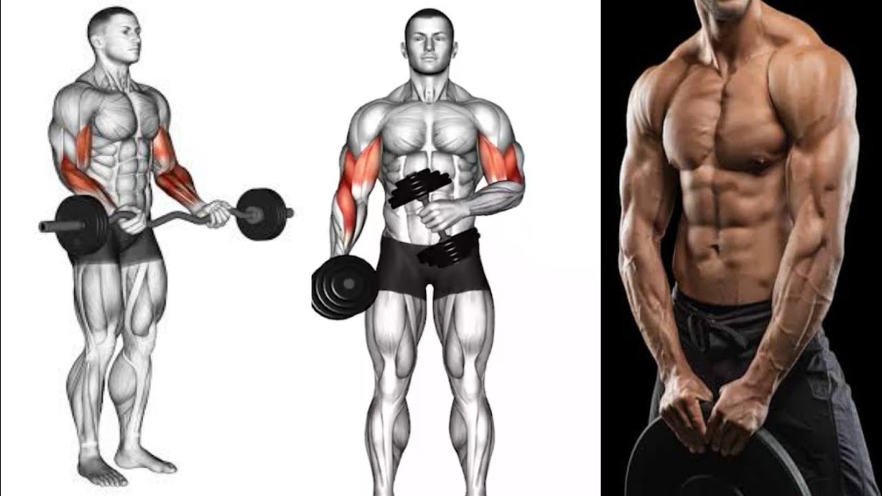 Arm Workout 💪 , 6 Best Biceps And Triceps Exercises at Gym For Bigger ...