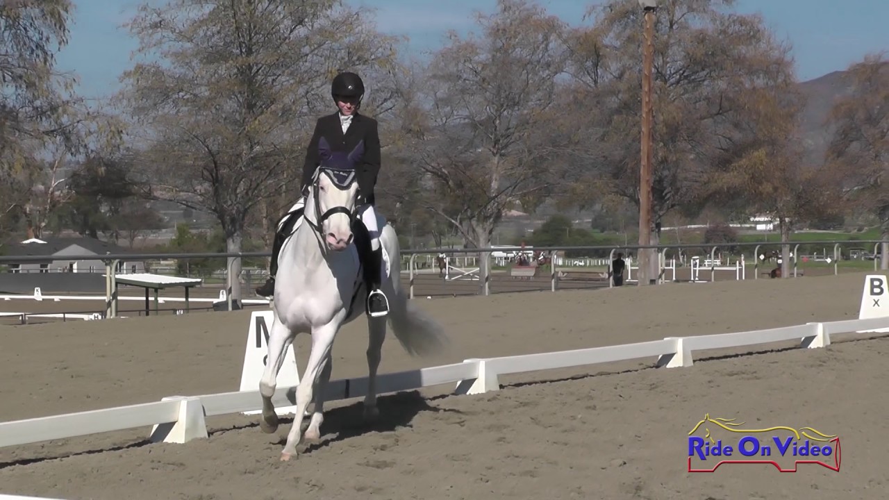 182D Ashley Stone on Oso Happy Open Beginner Novice Dressage Galway ...