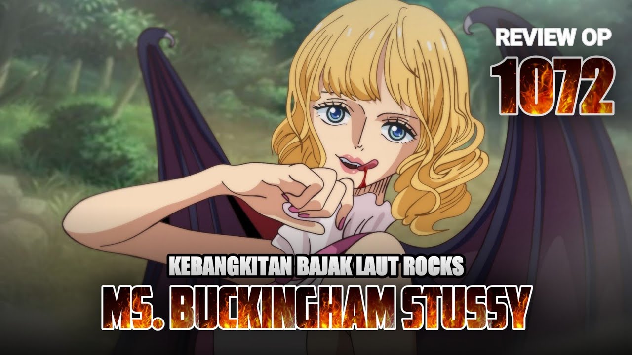 REVIEW OP 1072 - STUSSY MENGHIANATI CP0 | ZORO VS KAKU - YouTube