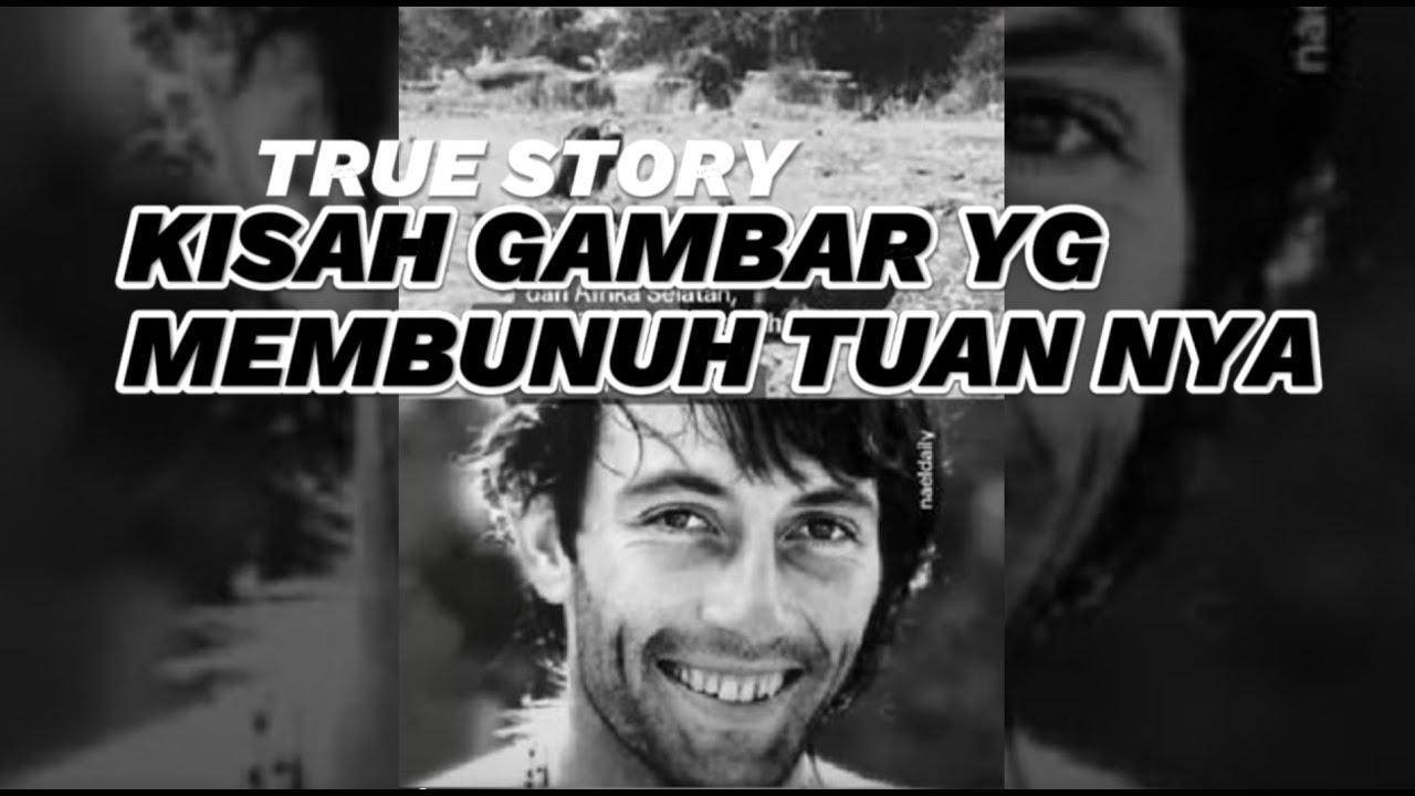 Kisah tragis gambar yang meragut nyawa tuan nya - YouTube