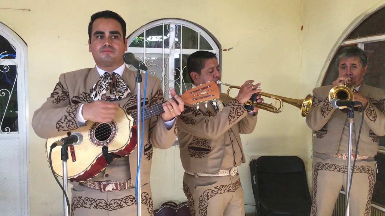 Mariachi Reforma -Violin huapango - YouTube