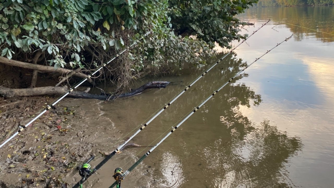 Saturday Night Catfish Fever! - YouTube