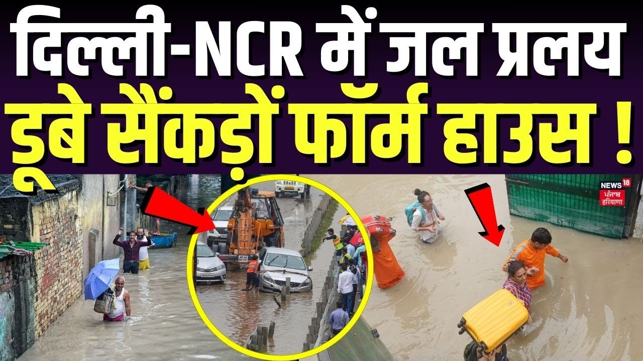 Delhi NCR Flood: दिल्ली-NCR में जल प्रलय, डूबे सैंकड़ों फॉर्म हाउस ...