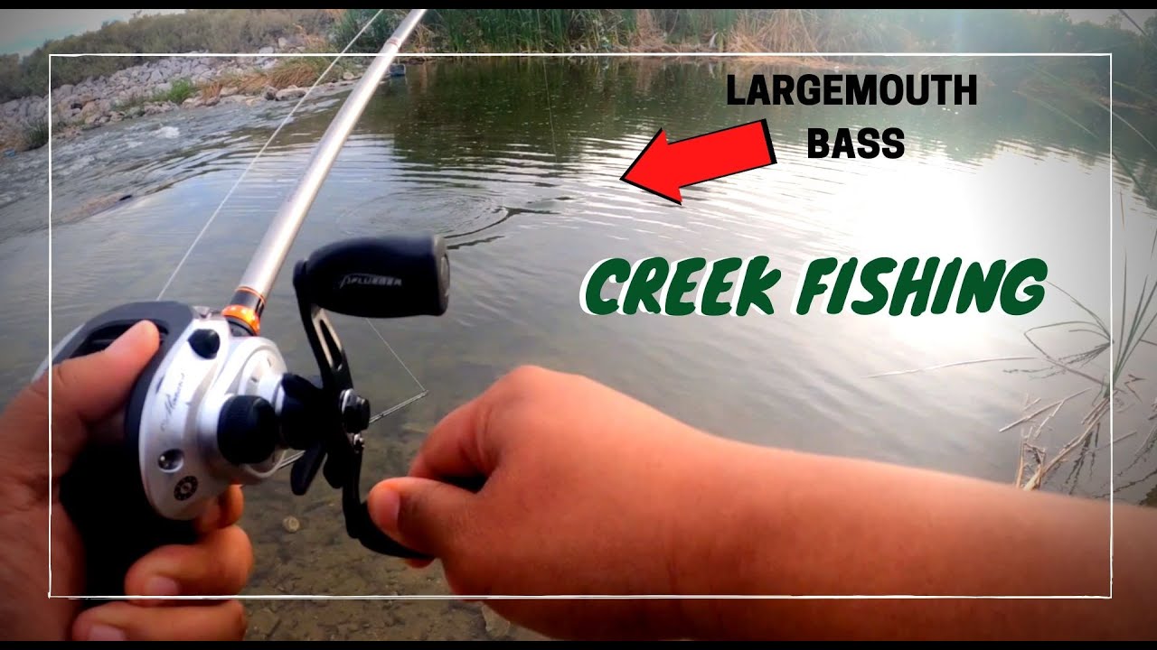 Catching Largemouth Bass in CLEAR Flowing Water | Creek Fishing ...