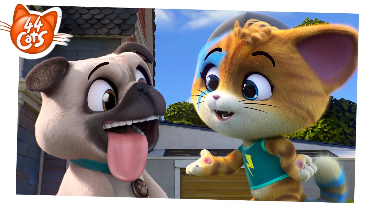 44 Cats | The most pawesome moment from episode 9 [CLIP] - YouTube