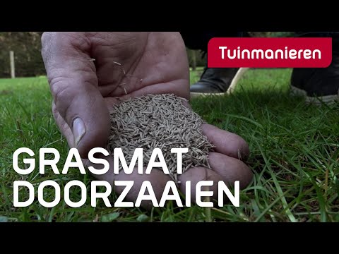 Grasmat doorzaaien en kale plekken behandelen | Hoe onderhoud je het gazon #6 | Tuinmanieren