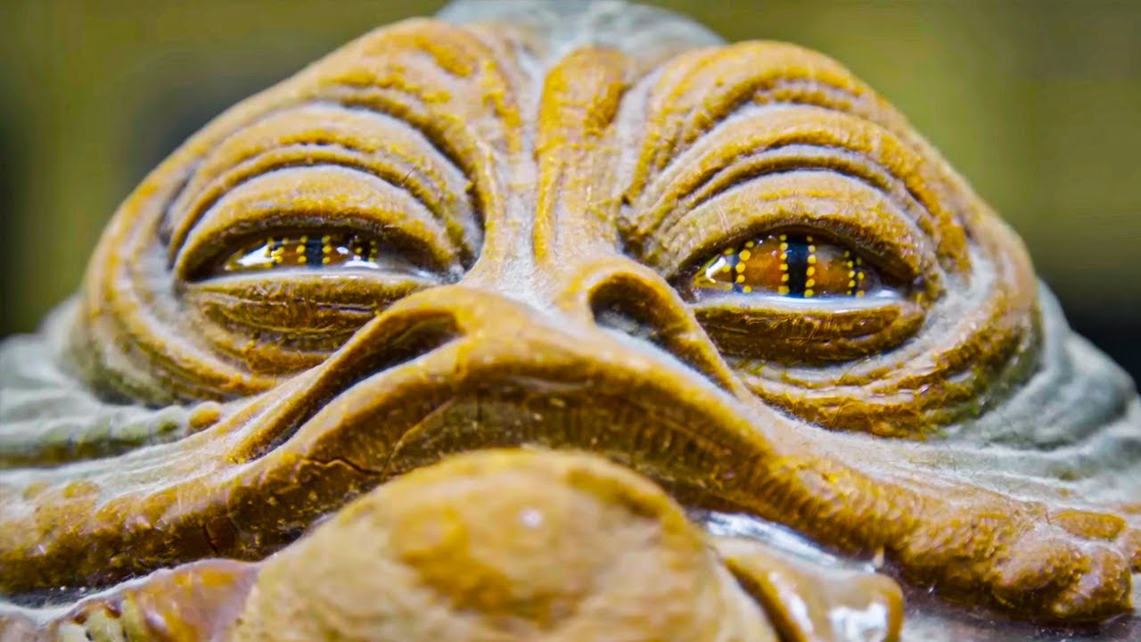 Why is Jabba the Hutt SO FAT? - YouTube