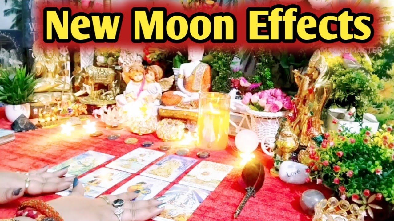 New Moon Effects On Collectives 🍁 Timeless Tarot🧿 - YouTube
