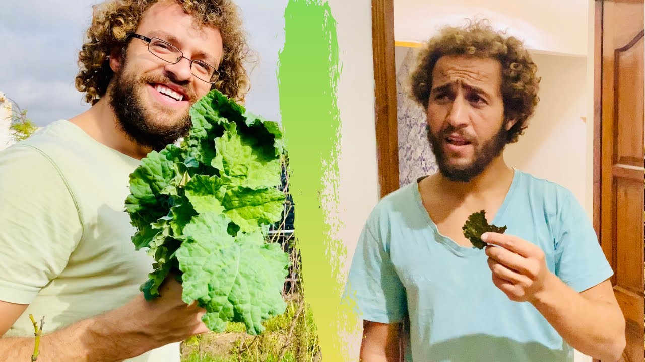 Moroccans Try Kale Chips Recipe, Kale Chip Morocco Reaction, Healthy ...