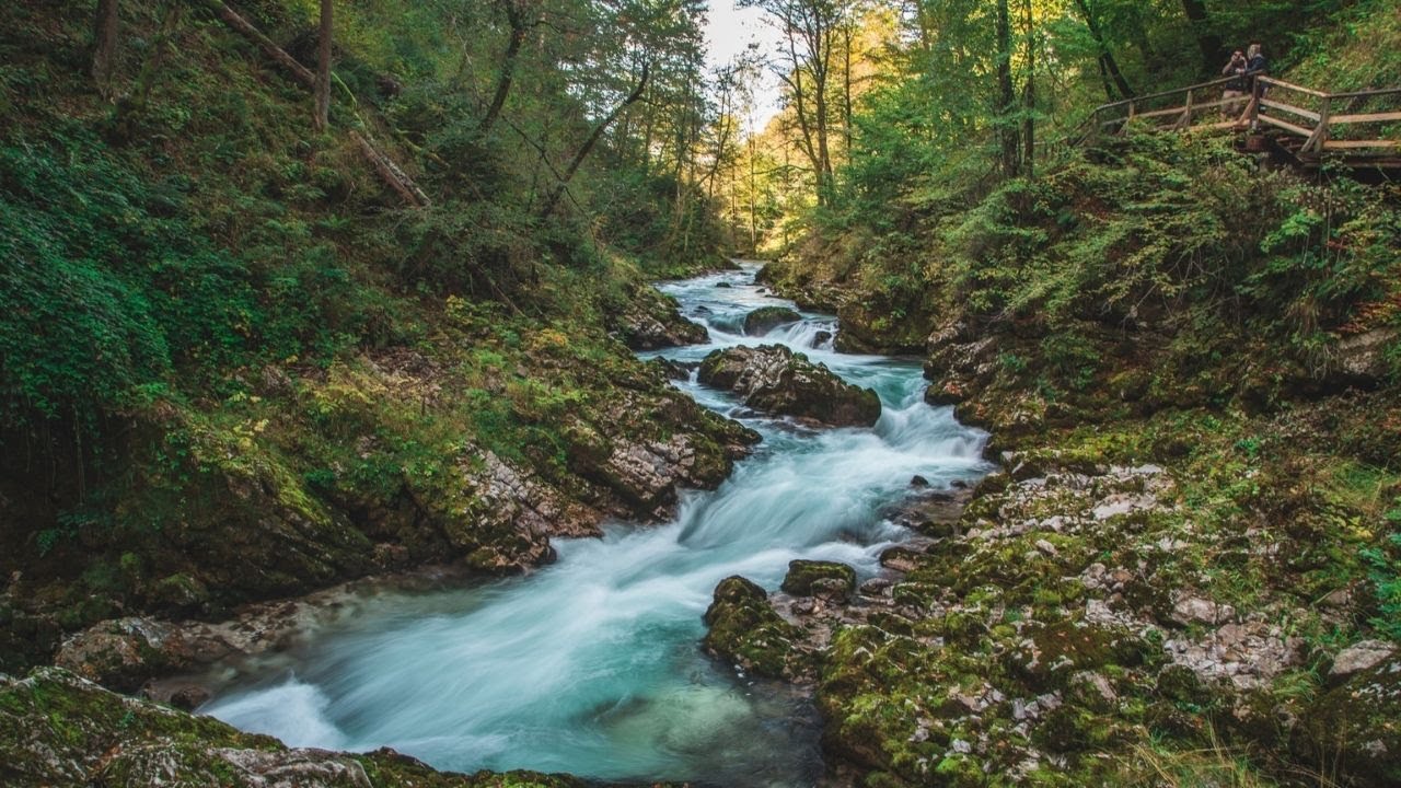 Rushing River Sounds for INSTANT Sleep ~ Rushing Water, Stream White ...