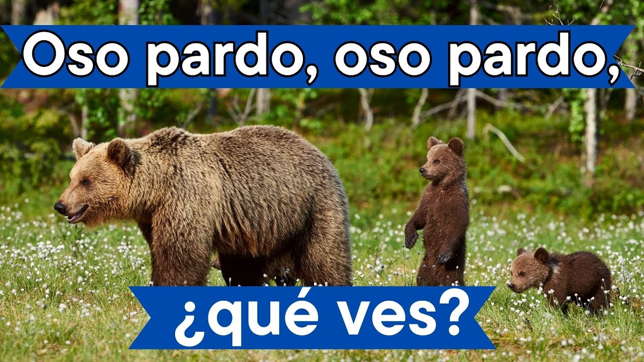 Oso pardo, oso pardo, ¿qué ves por Bill Martin Jr. (Spanish) Read Aloud ...