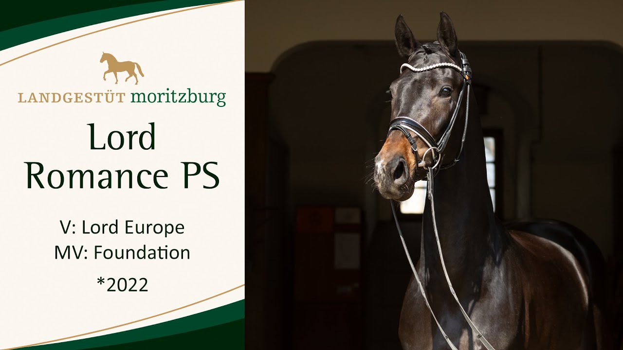 LORD ROMANCE PS v. Lord Europe - Foundation - YouTube