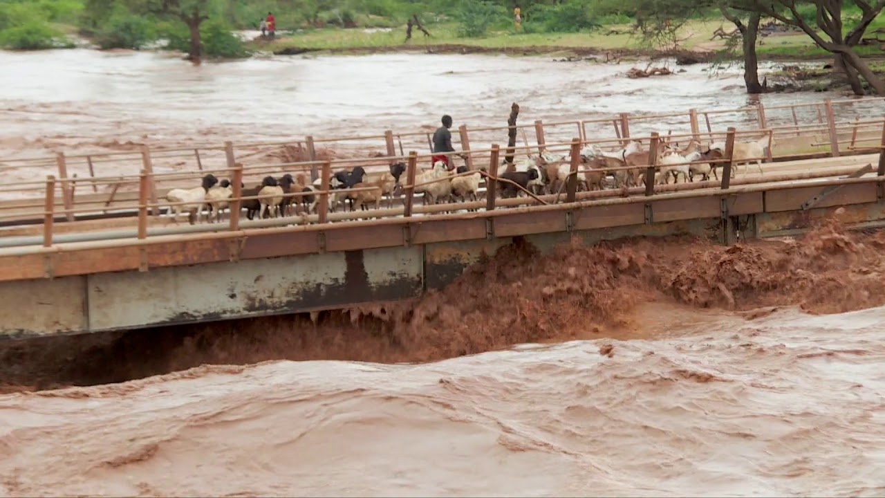 EFFECTS OF FLOODS IN KENYA - THE EWASO NYIRO RIVER - YouTube