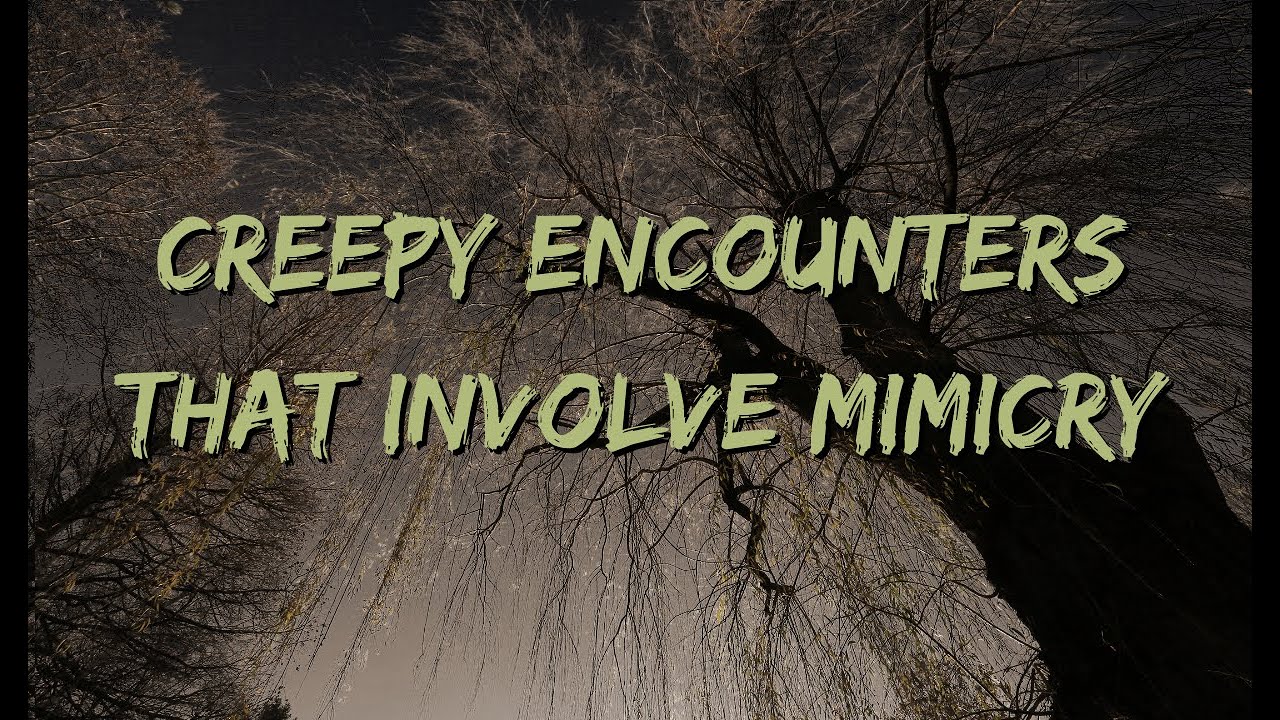 Creepy Encounters That Involve Mimicry - YouTube