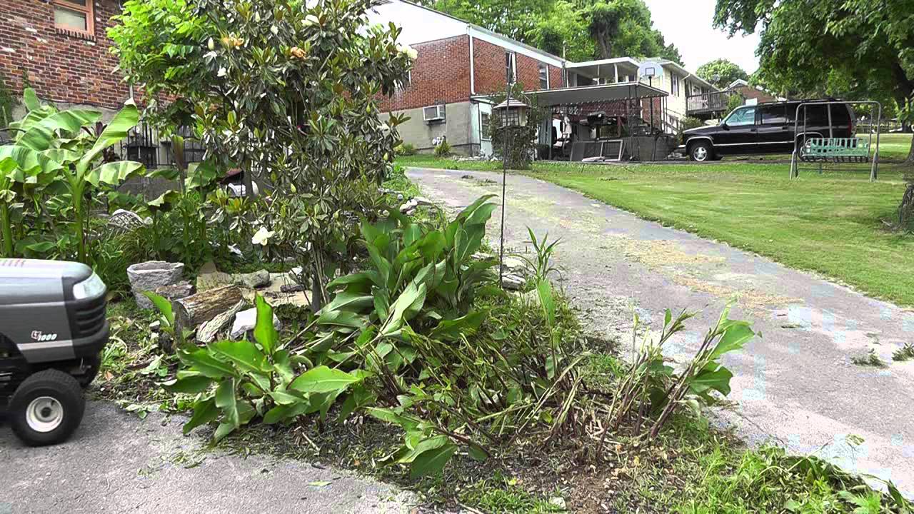 Mowing down the flowers - YouTube