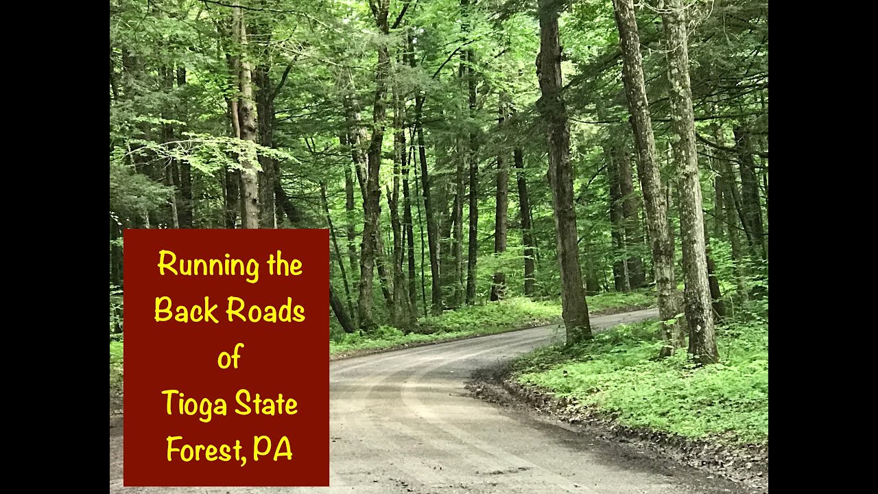 Running the Back Roads of Tioga State Forest, Pennsylvania - YouTube