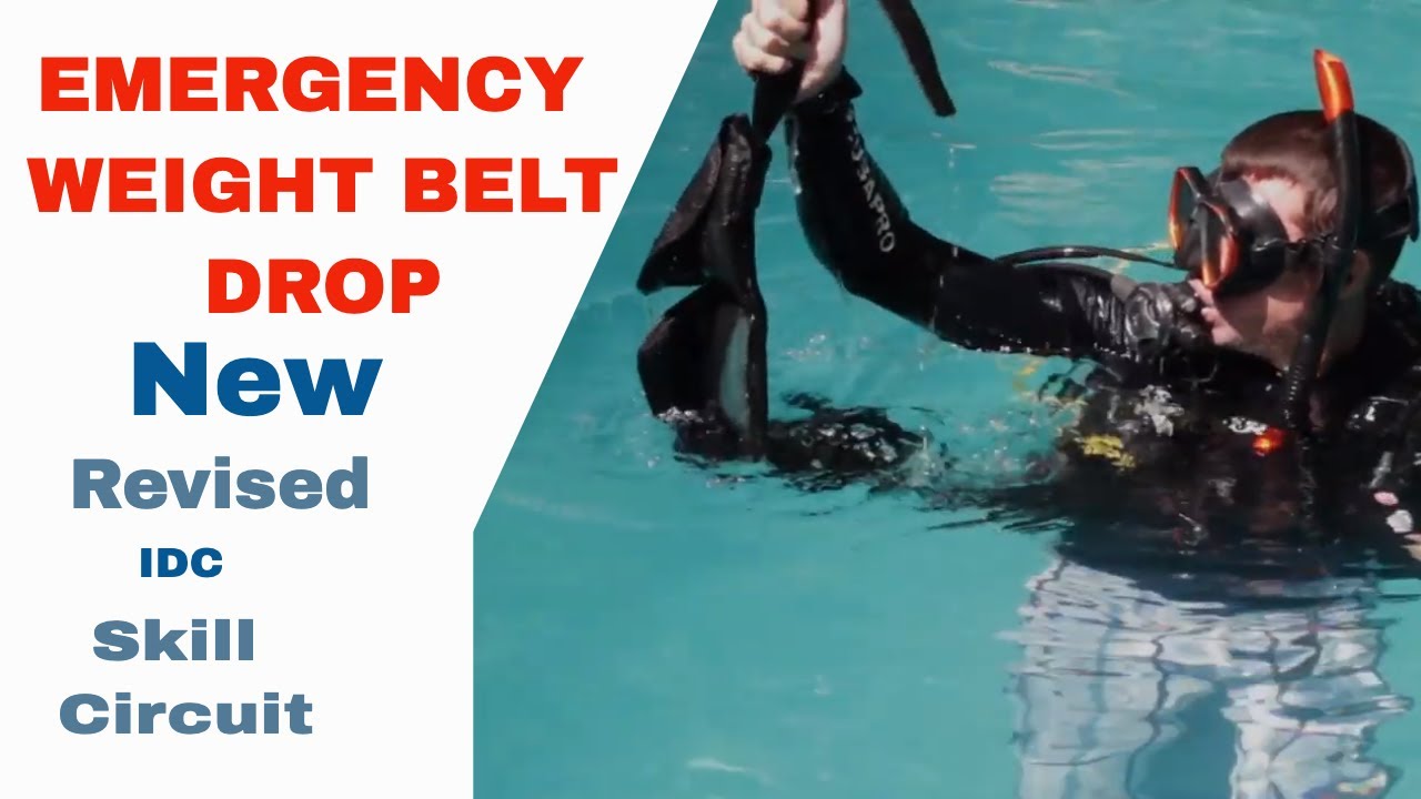 Emergency Weight Drop - PADI IDC Skills Circuit • Divemaster Skills ...
