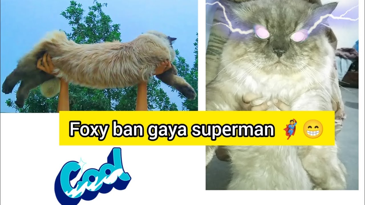 Foxy ban gaya superman 🦸😁,Teiz Hawa mein enjoy😺Episode#8 - YouTube