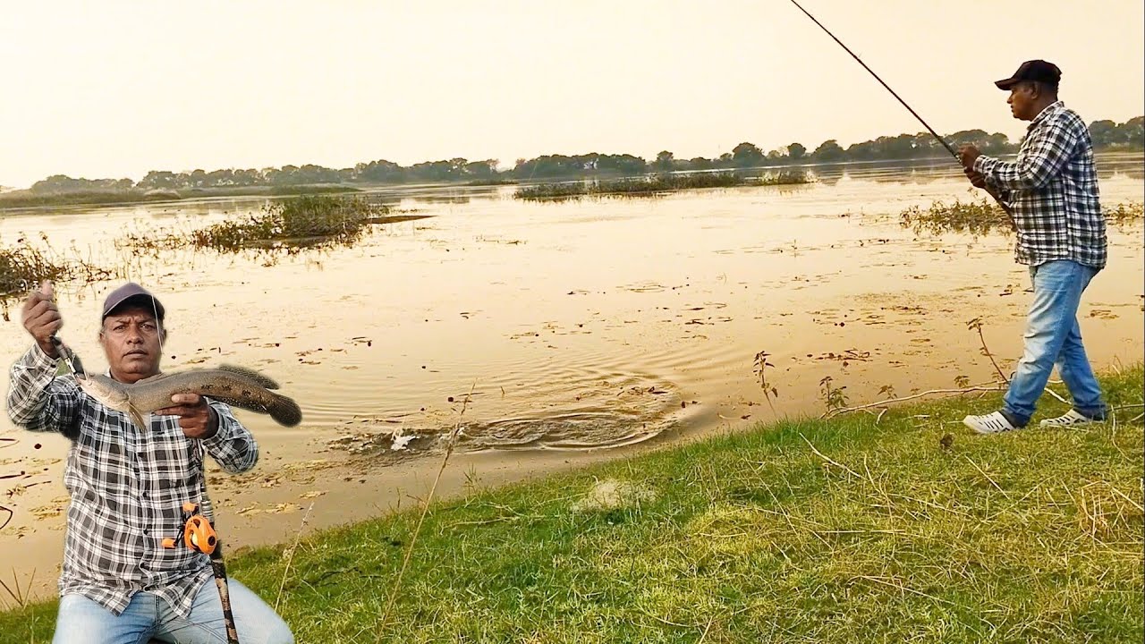 How To Catch Snakehead Fish 🐟🐟🐟 Snakehead Fishing technique | Aslam ...