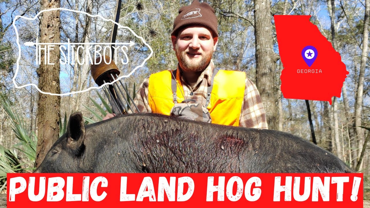 PUBLIC LAND HOG HUNT WITH A LONGBOW|Traditional Bowhunting|The ...