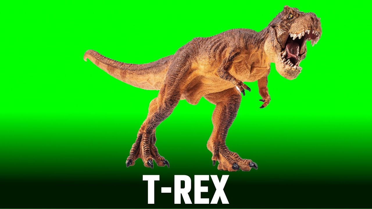 T-REX Green Screen Video || Green Screen || Chroma Key || Content For ...