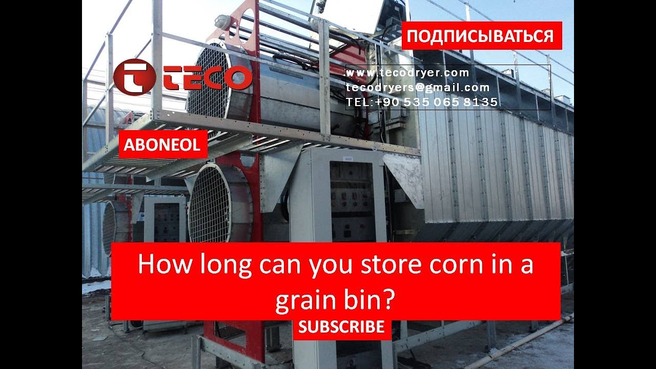 What are examples of grain crops? - YouTube