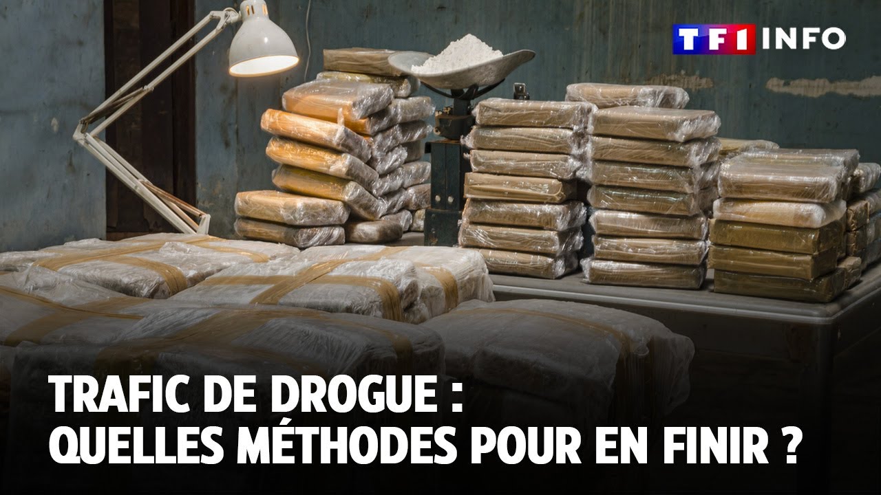 Trafic de drogue : quelles méthodes pour en finir ?｜TF1 INFO - YouTube