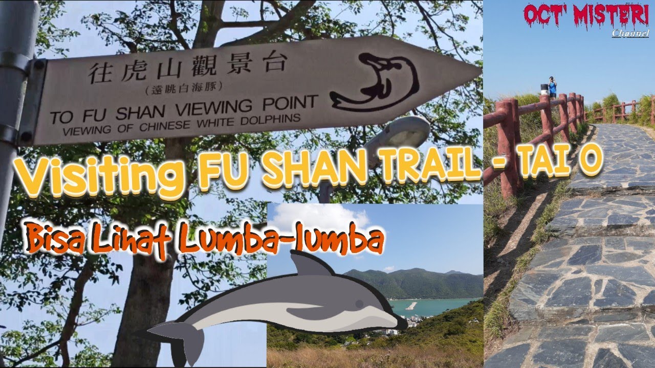 FU SHAN -Tai'O Hongkong ||Viewing CHINESE WHITE DOLPHINS|| Bukit FU ...