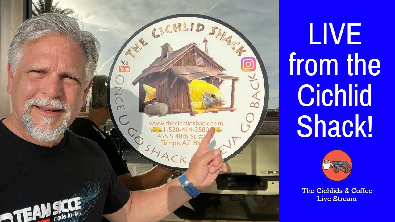 Walk Through the Famous Cichlid Shack [1000's of STUNNING Fish!] - LIVE ...