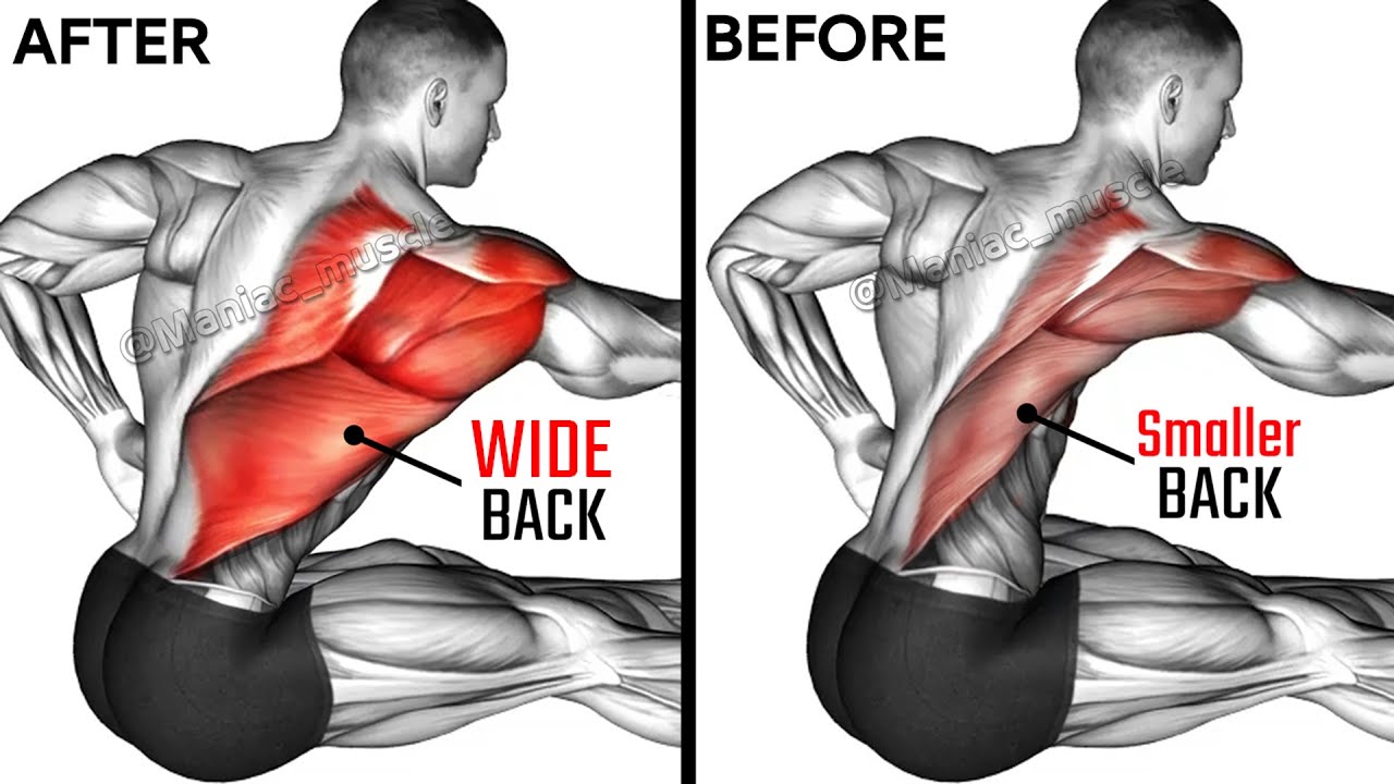 Exercise Dumbbell Back Workout | Maniac Muscle - YouTube