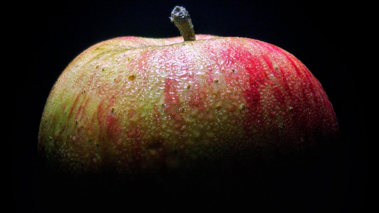 Low Key Photography and Still Life Photography with Phone - YouTube