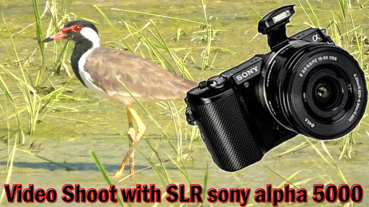 Sony SLR Shoot - YouTube
