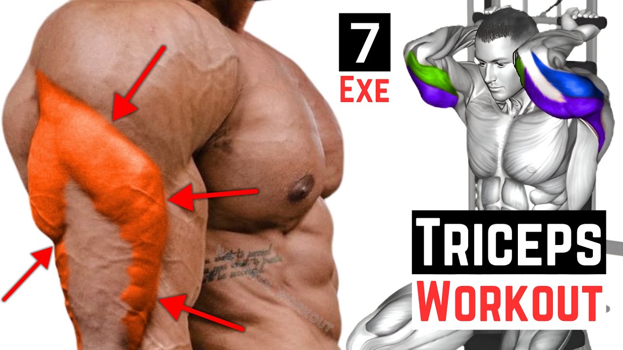 Triceps Workout: Build Strong Arms | Best Triceps Exercises - YouTube